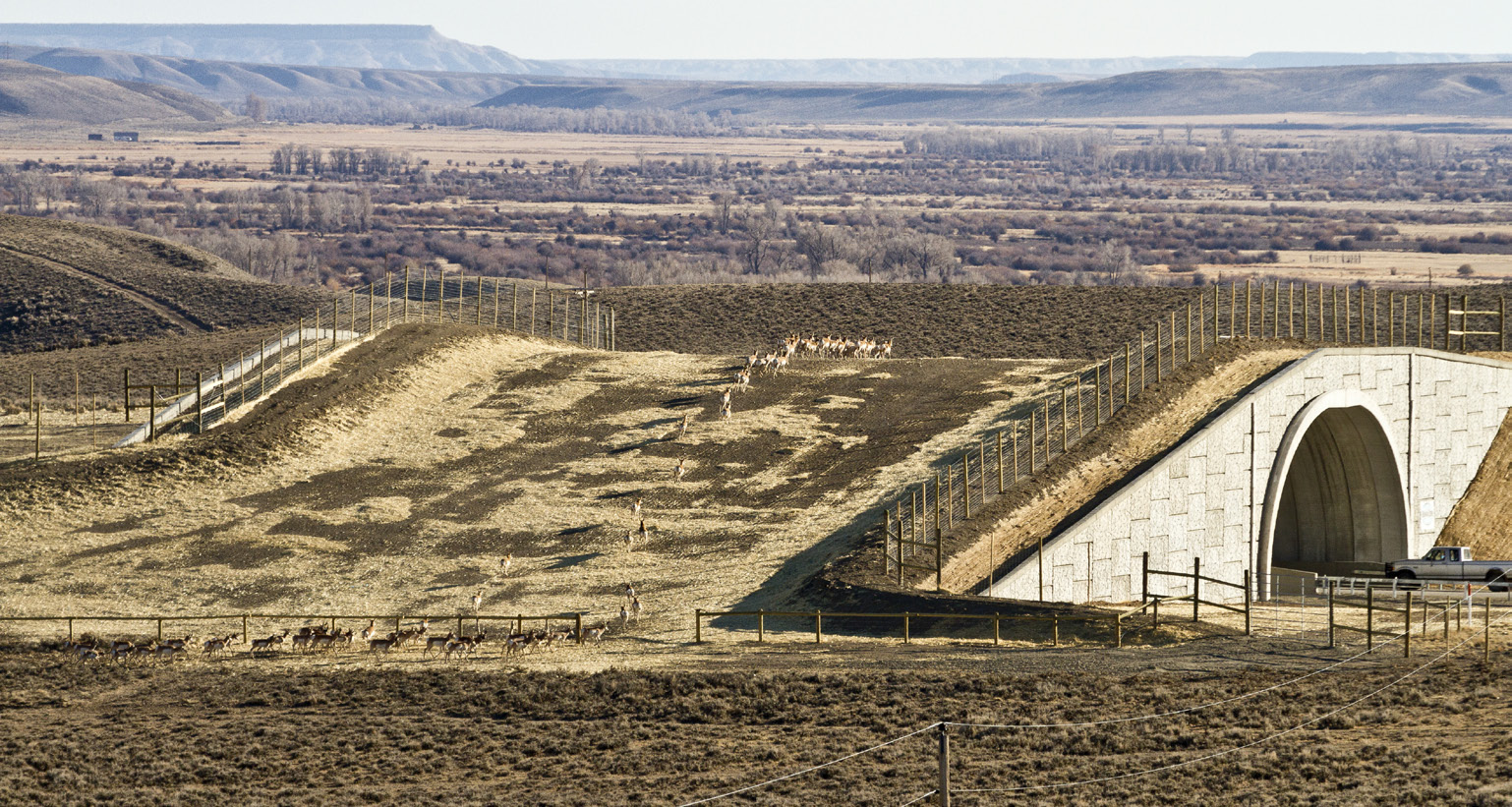 New! Wildlife Crossings Communications Toolkit - Center for Large ...