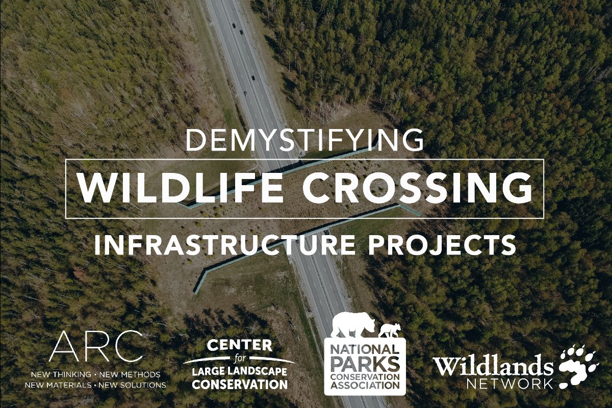 Webinar Series: Demystifying Wildlife Crossing Infrastructure Projects ...