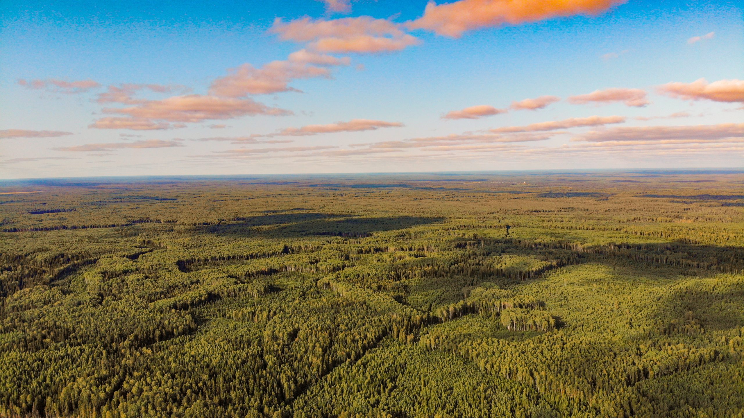 Preventing Future Pandemics Through Conservation - Center for Large ...