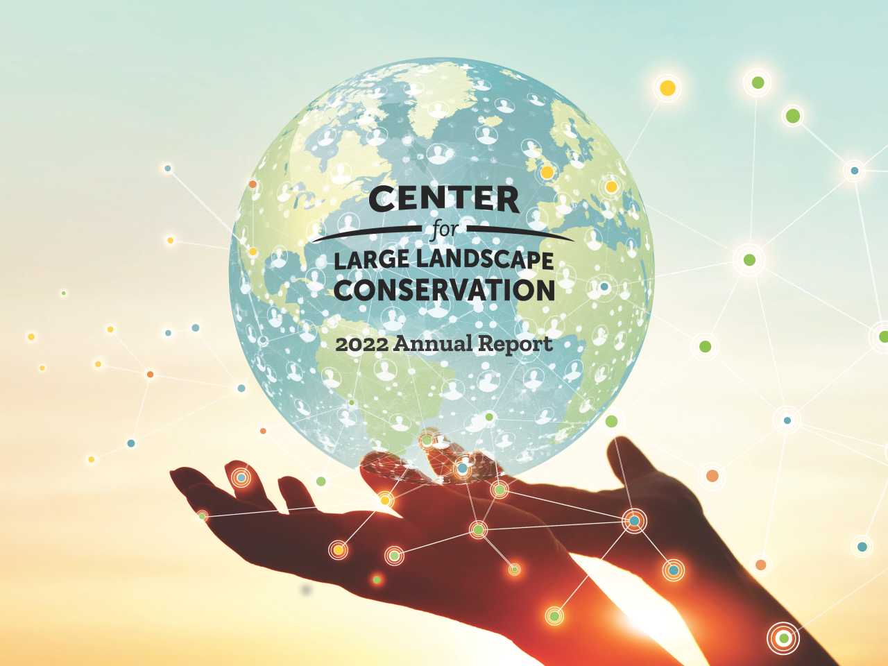 2022 Annual Report: Making Connections Across the Globe - Center for ...