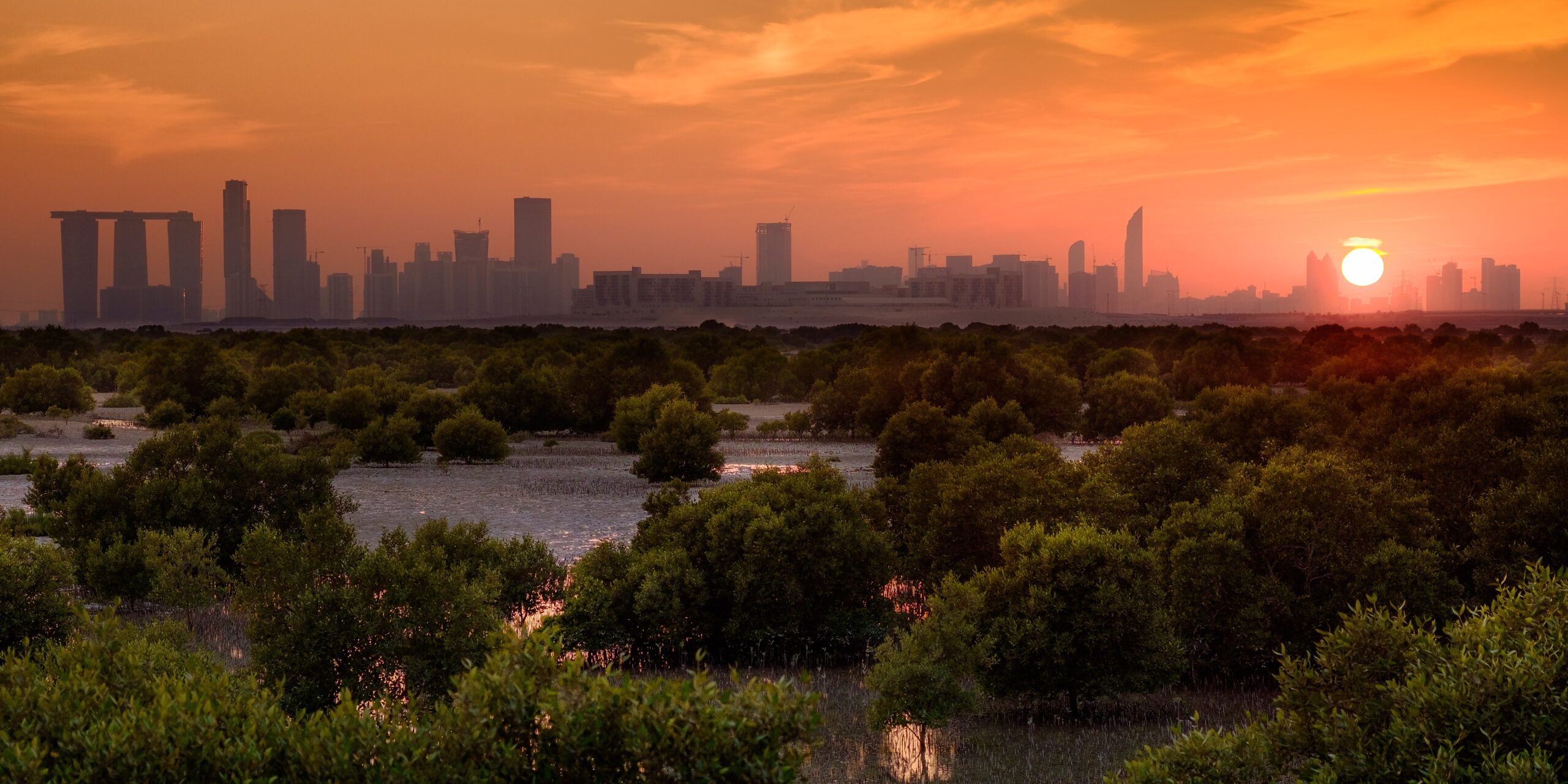 2025 IUCN World Conservation Congress - Center for Large Landscape ...