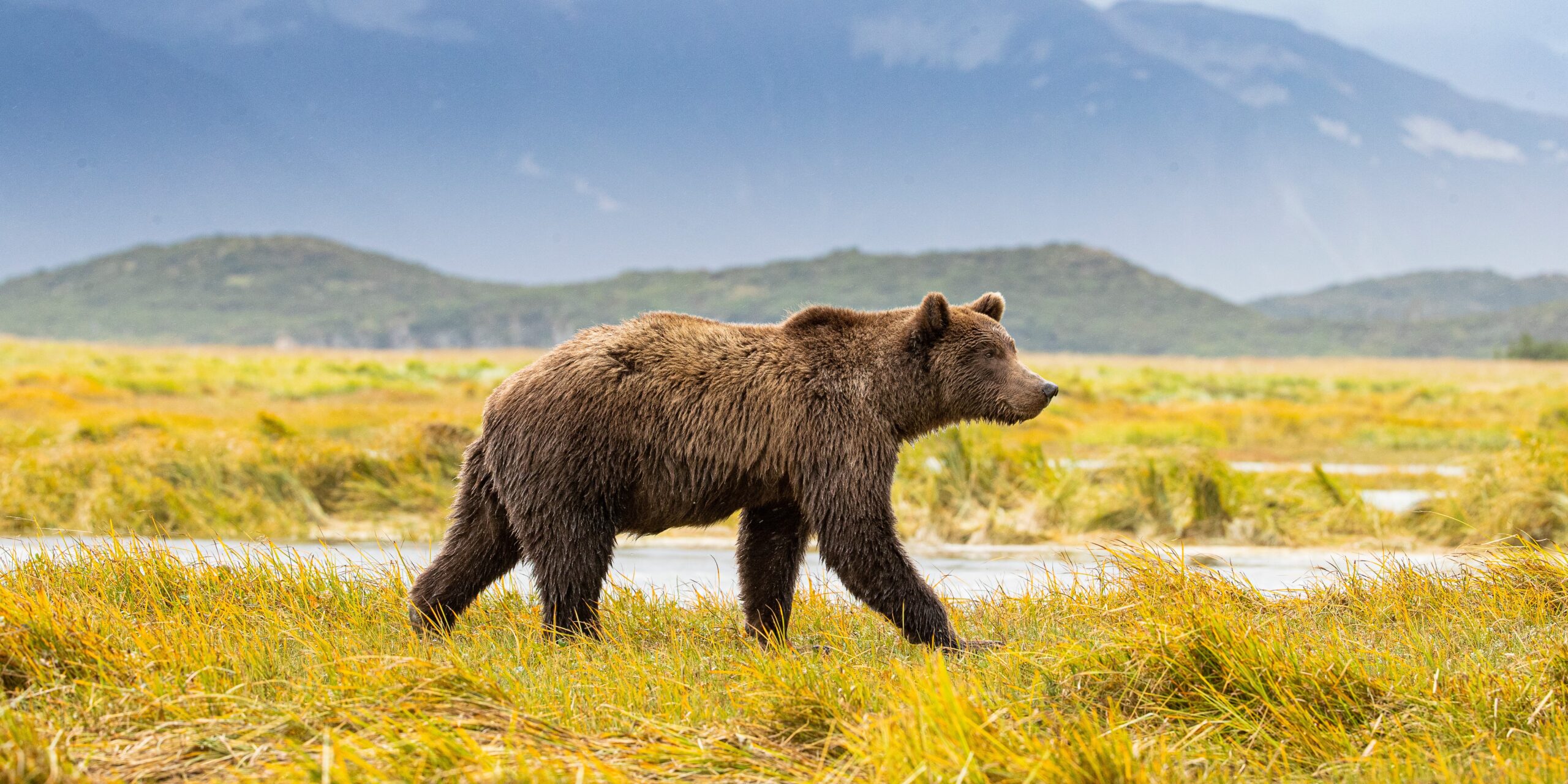 NatureConnect - Center for Large Landscape Conservation