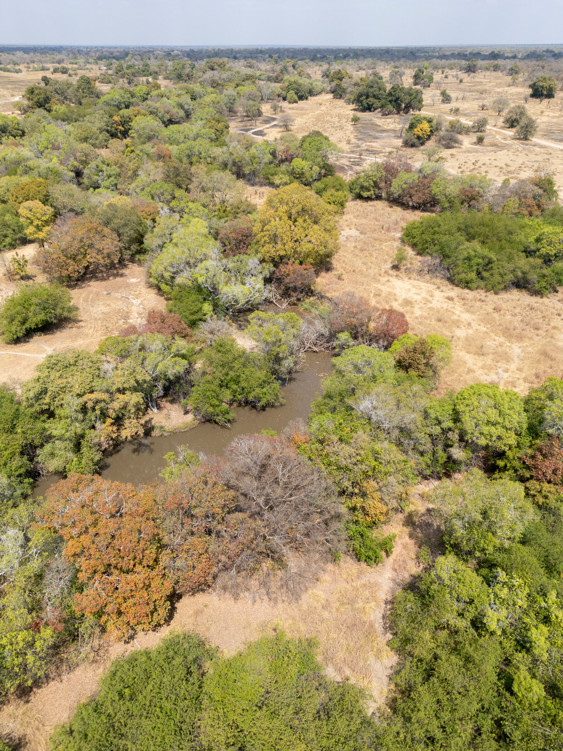A Road Runs Through It - Center for Large Landscape Conservation