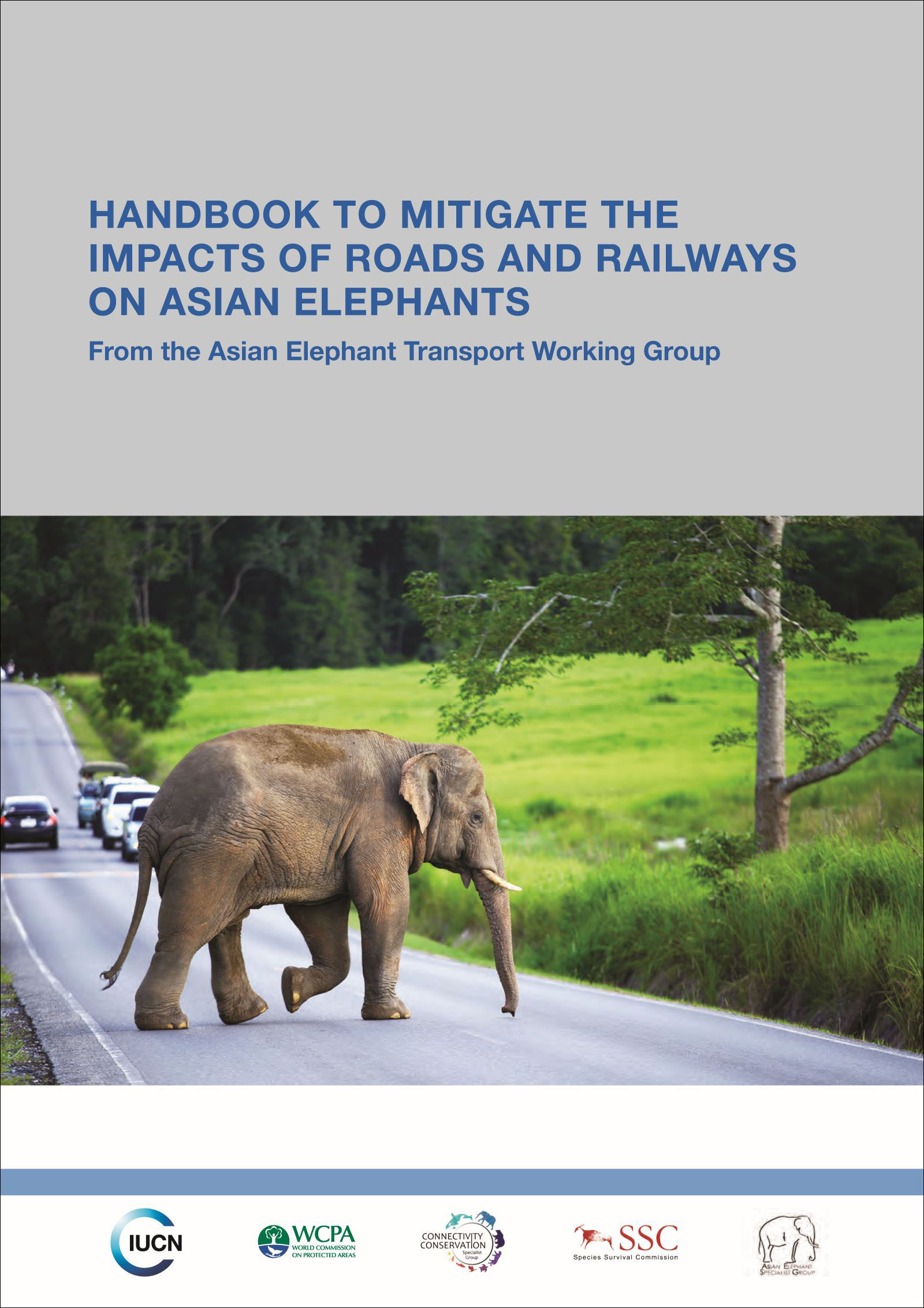 New Push to Protect Endangered Asian Elephants from Roads and Railways ...