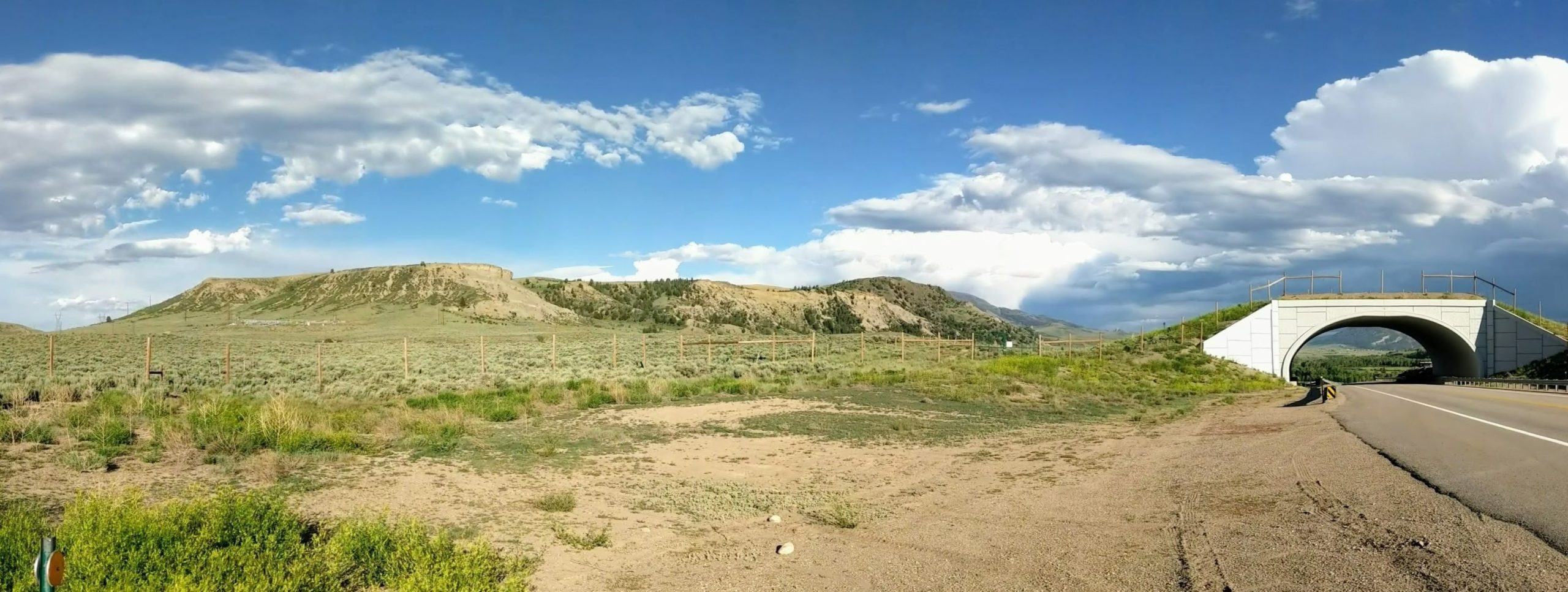 Webinar Series: Demystifying Wildlife Crossing Infrastructure Projects ...