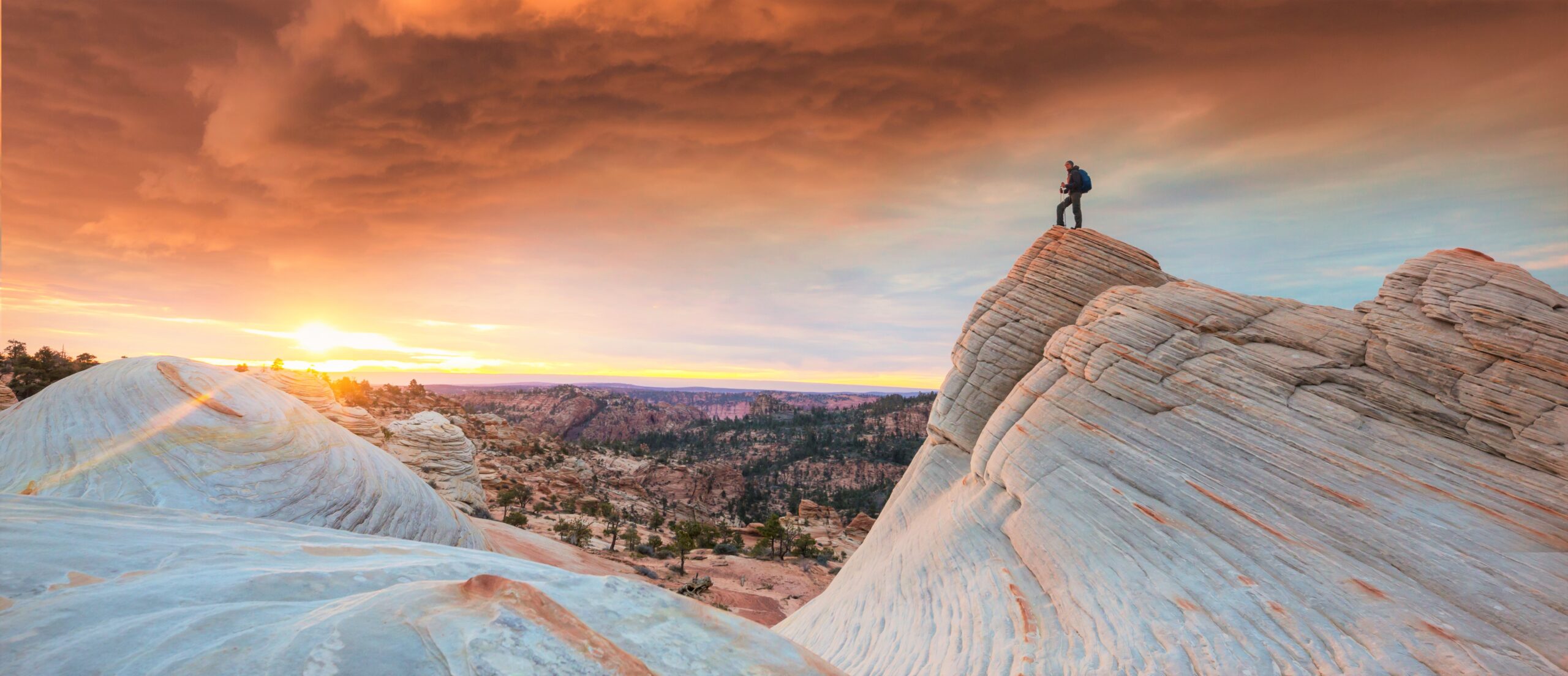 Support - Center for Large Landscape Conservation